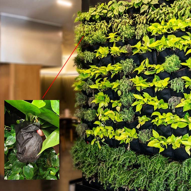 Transform Your Space with Vibrant Vertical Green Walls - FLOWERS IN MIND
